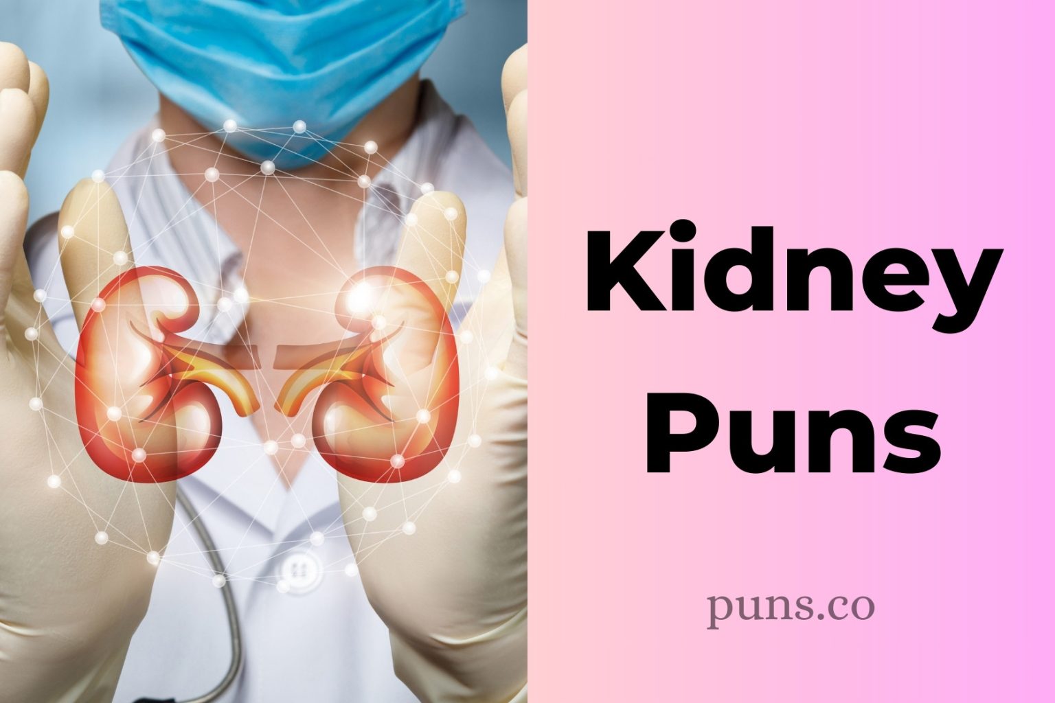 135 Kidney Puns To Bean Up Your Humour Game!