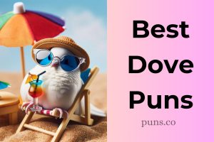 122 Hawk Puns That Are Simply Unbeak-lievable!