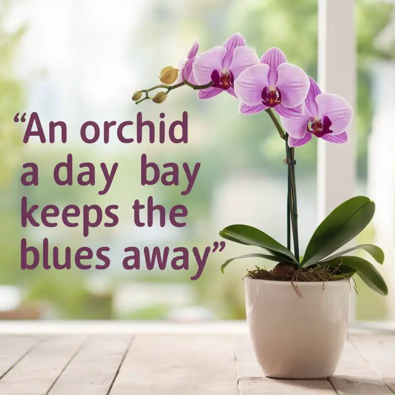 142 Orchid Puns That Are Simply Blossom-tastic!