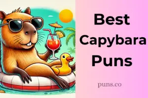 150 Pig Puns To Have You Oinking For More!