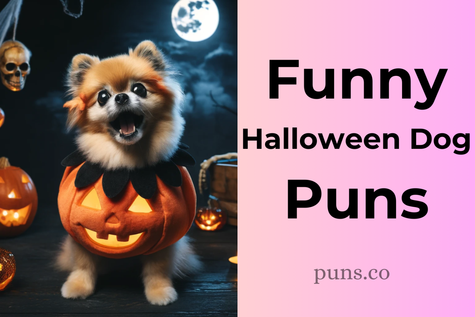 105 Dog Birthday Puns that Will Have Your Tail Wagging!