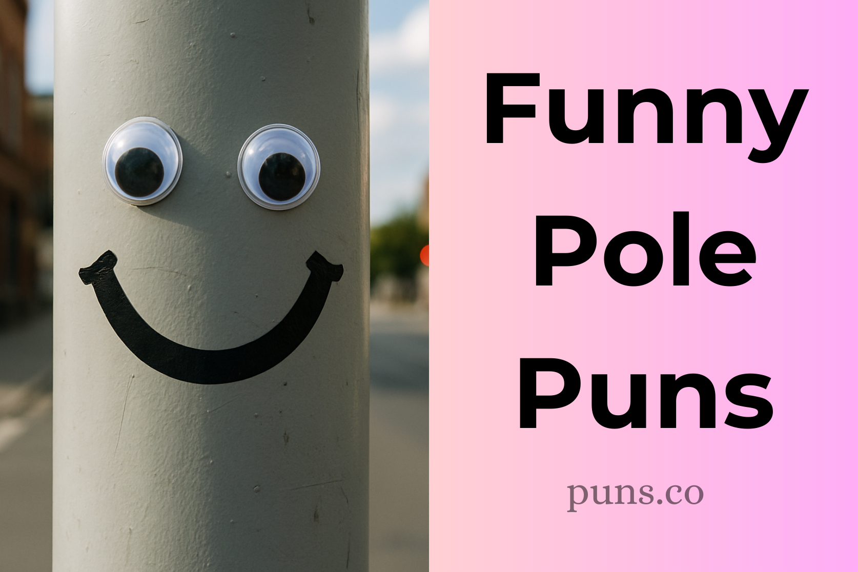 104 Pole Puns That You Need in Your Life Right Now!